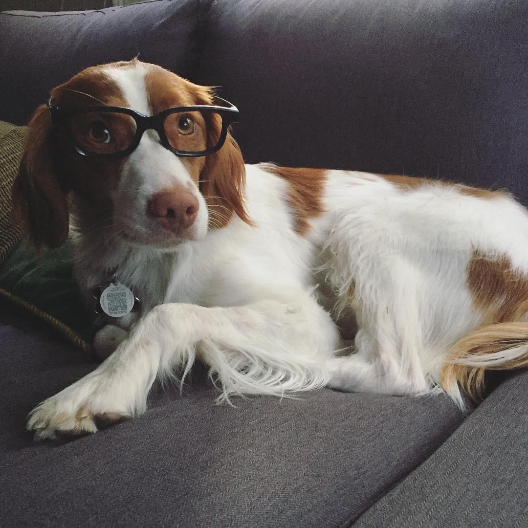 Wild Whitmores – Whitmore Family Blog